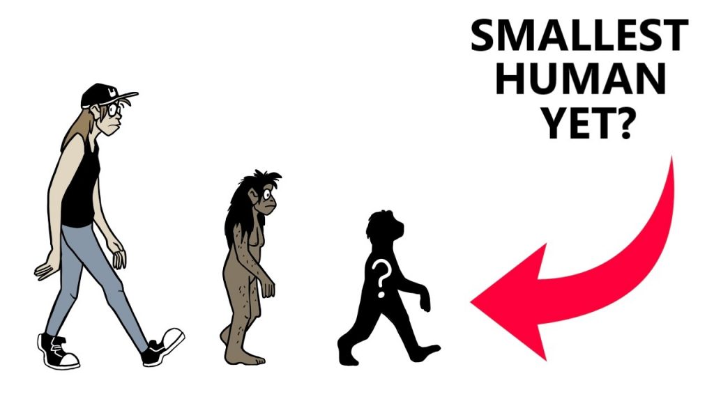 New SMALLEST Human Relative Discovered! What Does it Mean ...